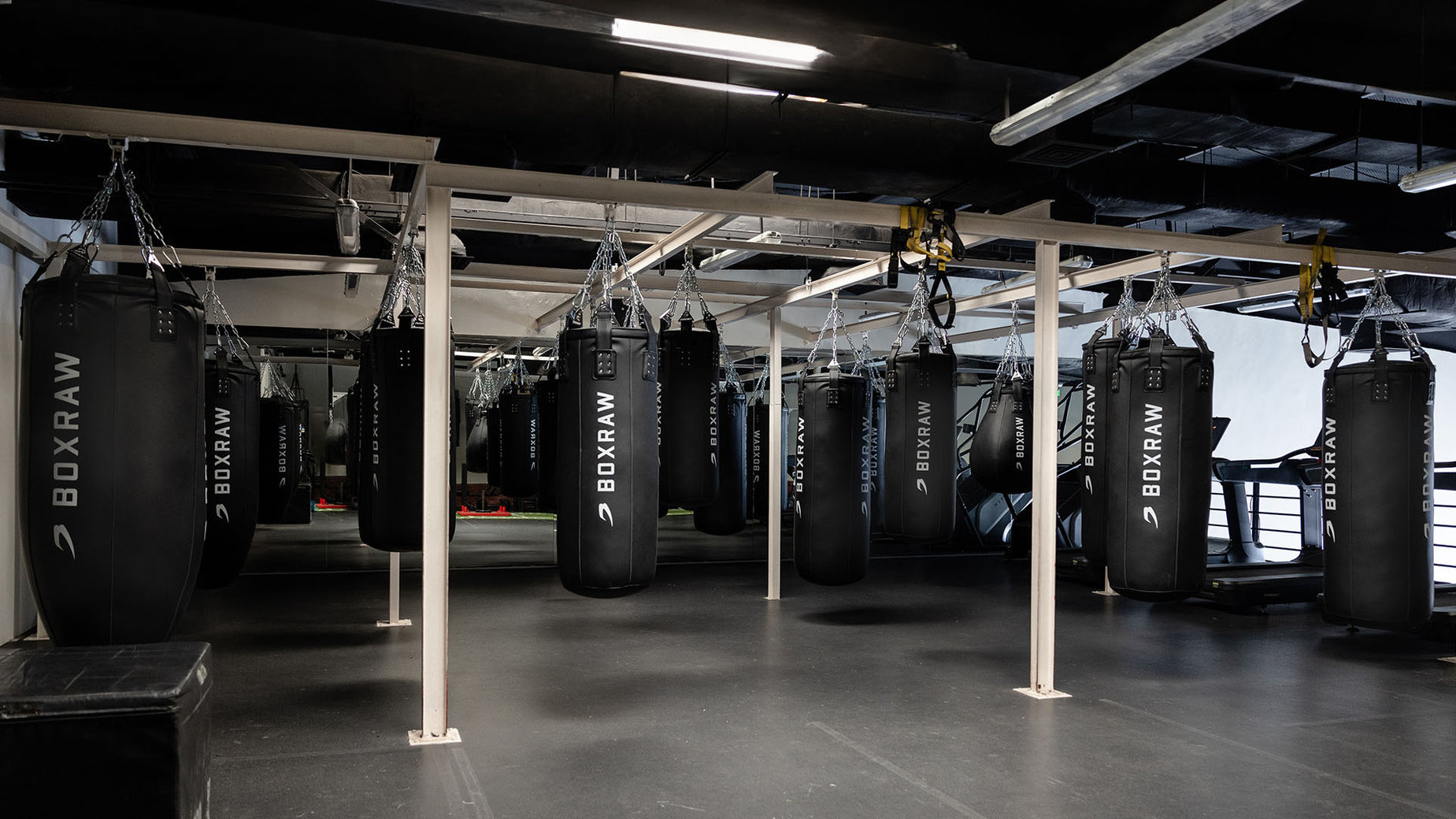 Boxing Punch Bags | Reflex, Speed & Heavy Bags | BOXRAW