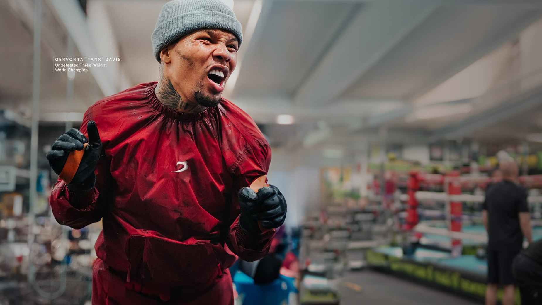 BOXRAW | Up to 70% Off Summer Sale